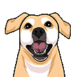 abxgh Stream - Watch Live on Kick