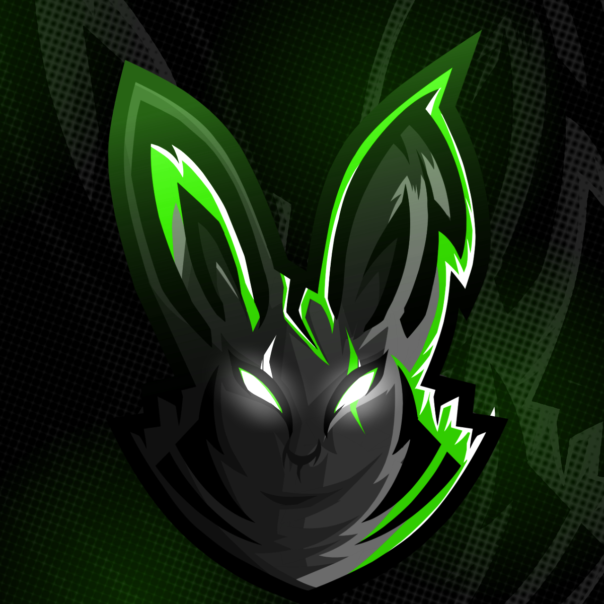 About white444 - Watch Live on Kick