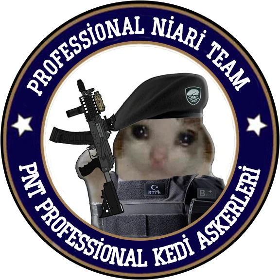 Niari Stream - Watch Live on Kick