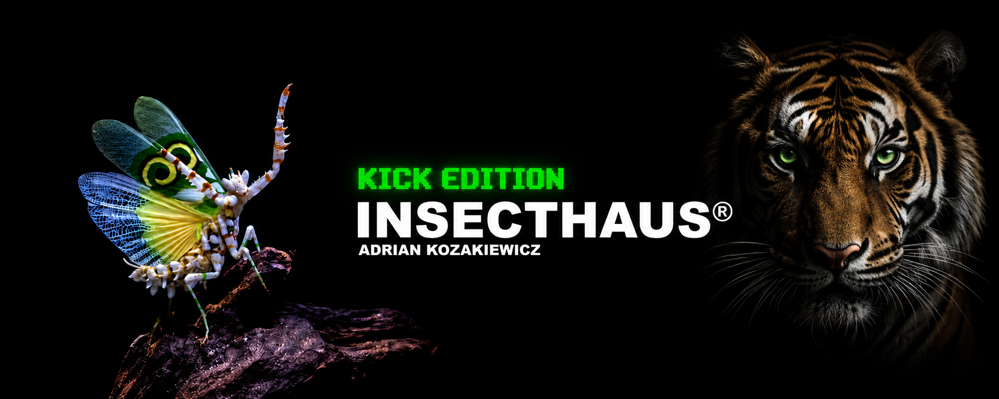 Adi Stream - Watch Live on Kick