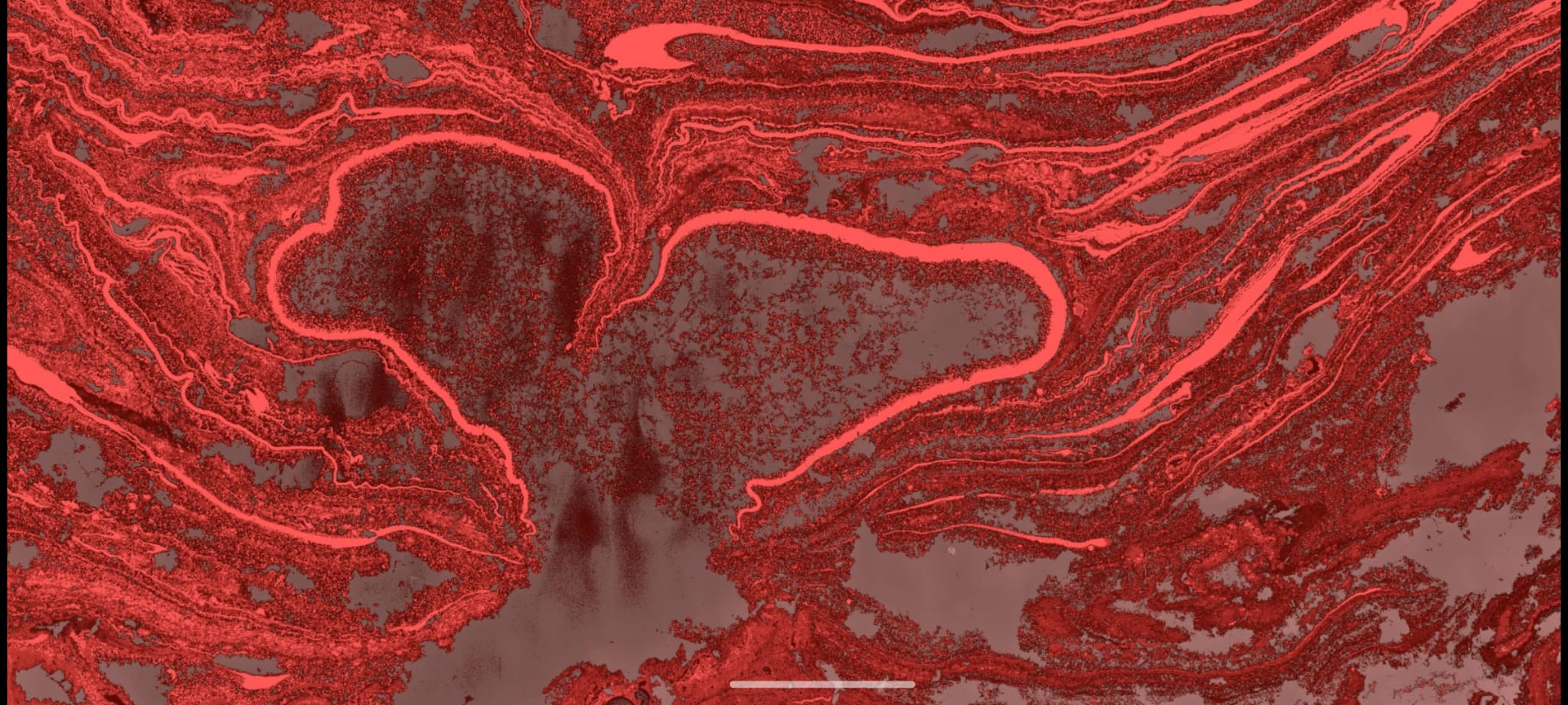 bachoura_jl Stream - Watch Live on Kick