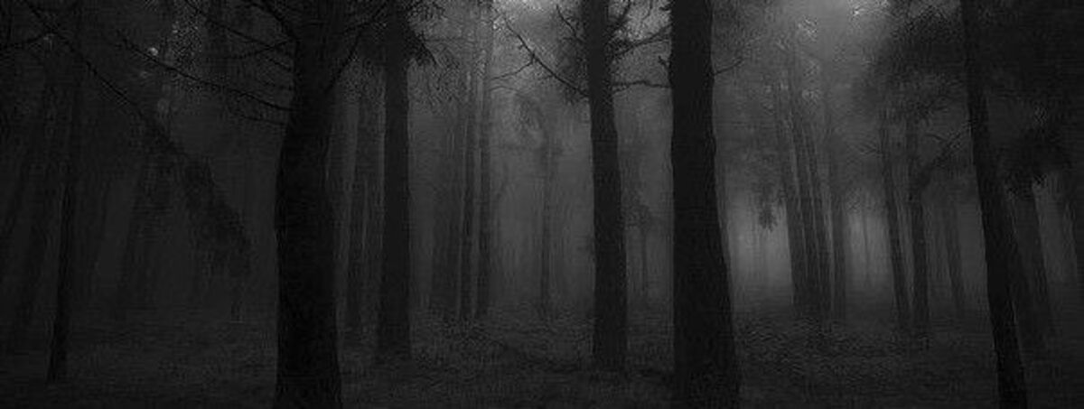 v_R3B Stream - Watch Live on Kick