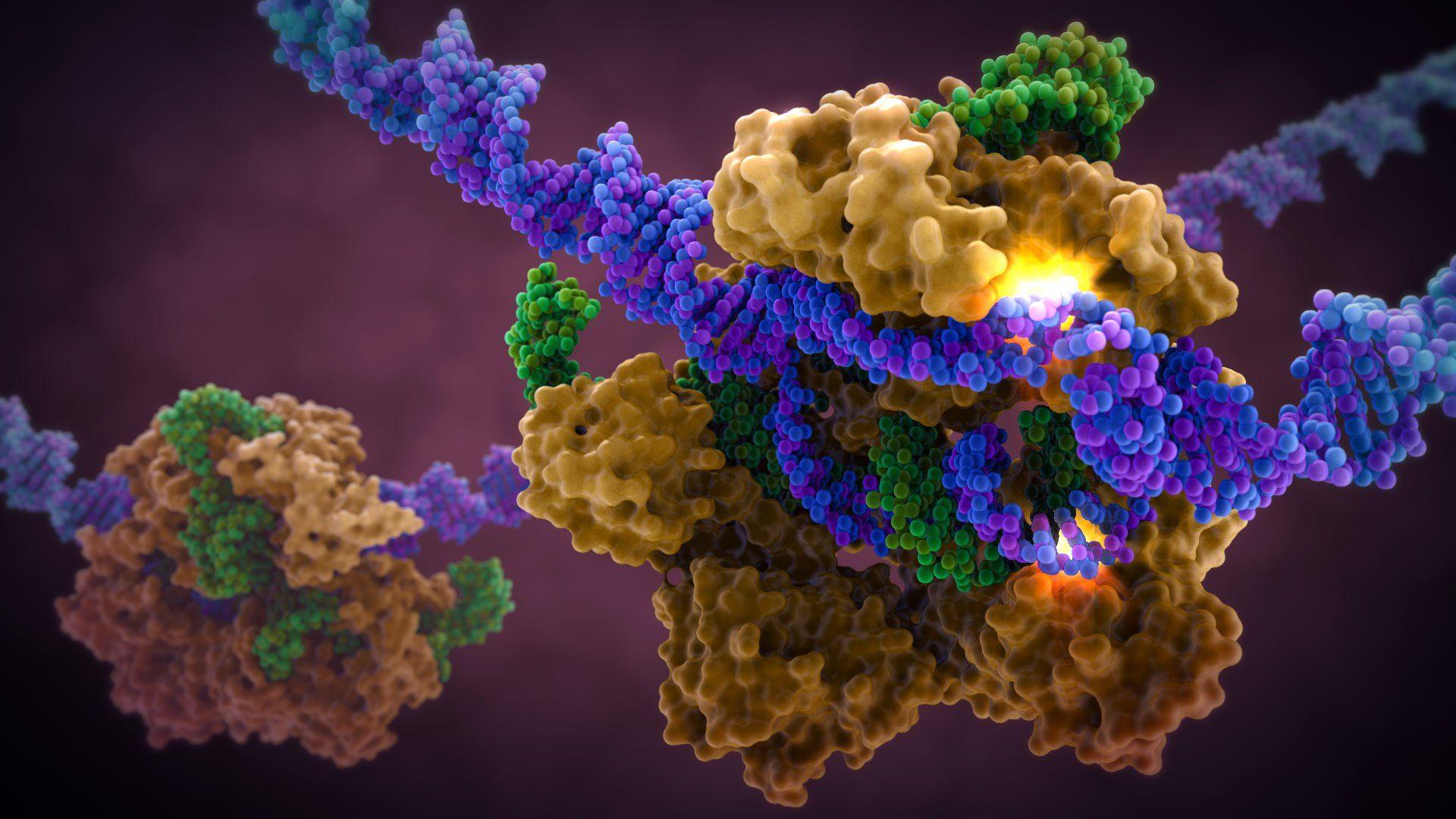 Cellfie Stream - Watch Live on Kick