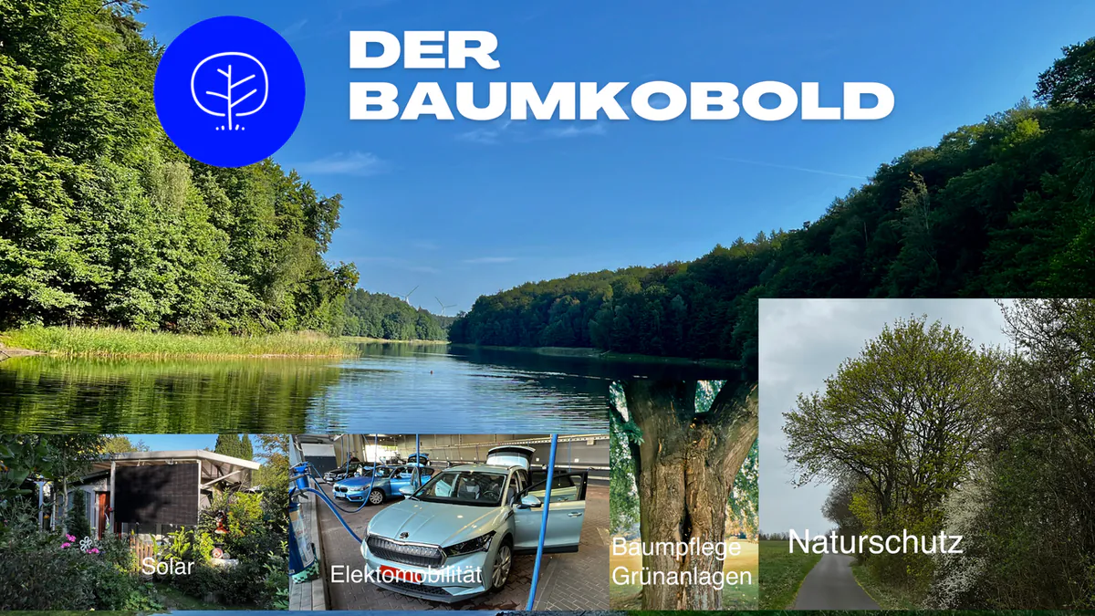 Chat der_Baum_Kobold - Watch Live on Kick
