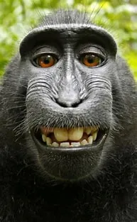 About MonkeyMan6787 - Watch Live on Kick