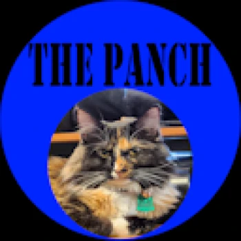 The_Panch Stream - Watch Live on Kick
