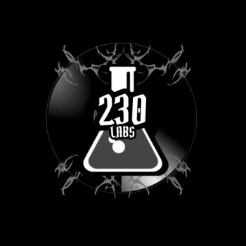 Chat 230grey - Watch Live on Kick