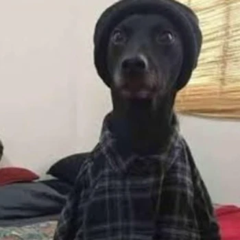 lolo_dogg Stream - Watch Live on Kick