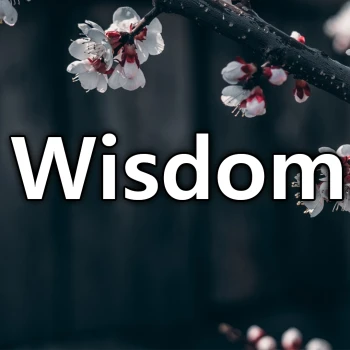 Wisdom_Entertainment Videos - Watch On-Demand on Kick