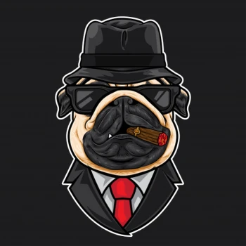 gUciooo Stream - Watch Live on Kick