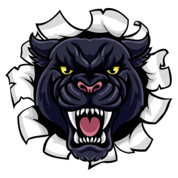 OCHO_ocho8 Stream - Watch Live on Kick