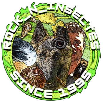 Rock_n_insectes Videos - Watch On-Demand on Kick