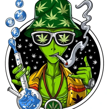 Chat stonerhq - Watch Live on Kick